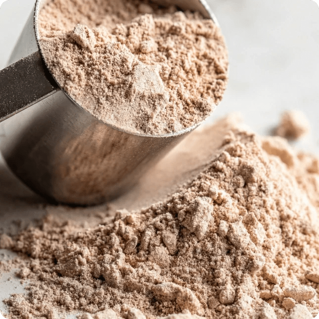 Muscle Performance & Recovery – Blueprint Bryan Johnson
