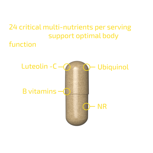 Essential Capsules – Blueprint Bryan Johnson